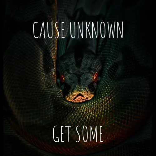Cause Unknown Get Some Encyclopaedia Metallum The Metal Archives