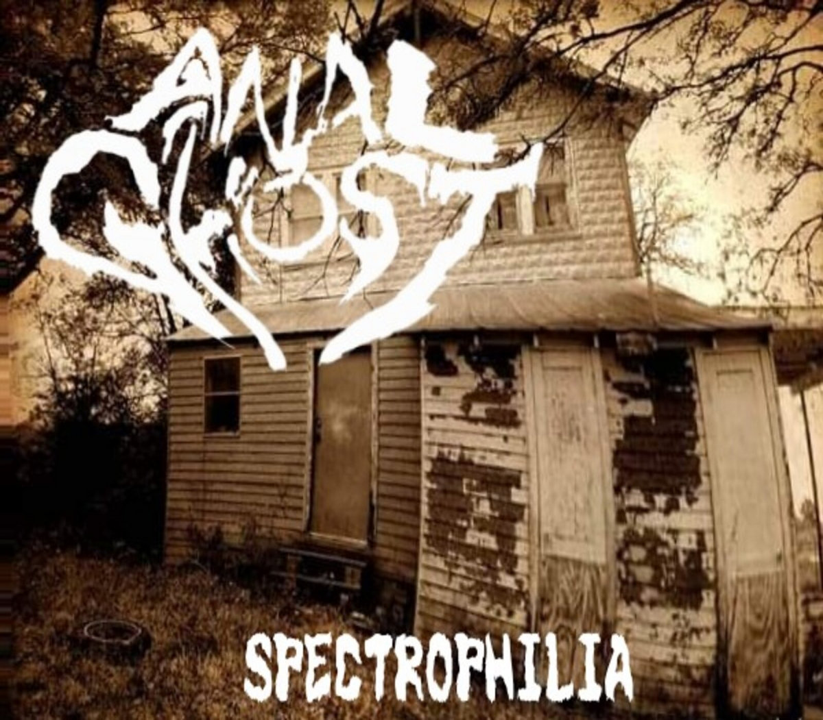 Anal Ghost Spectrophilia Encyclopaedia Metallum The Metal Archives